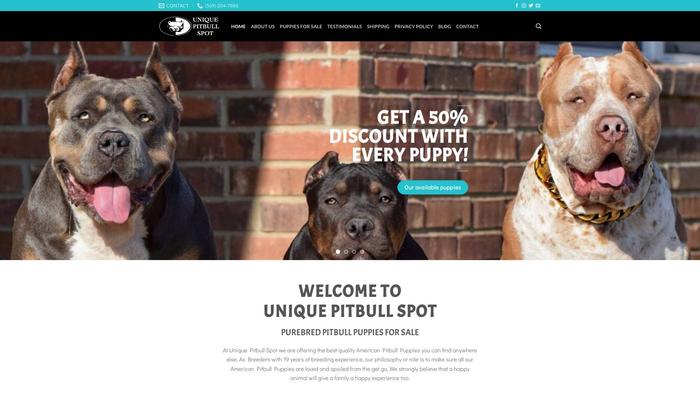 Is Uniquepitbullspot.com legit or a scam?